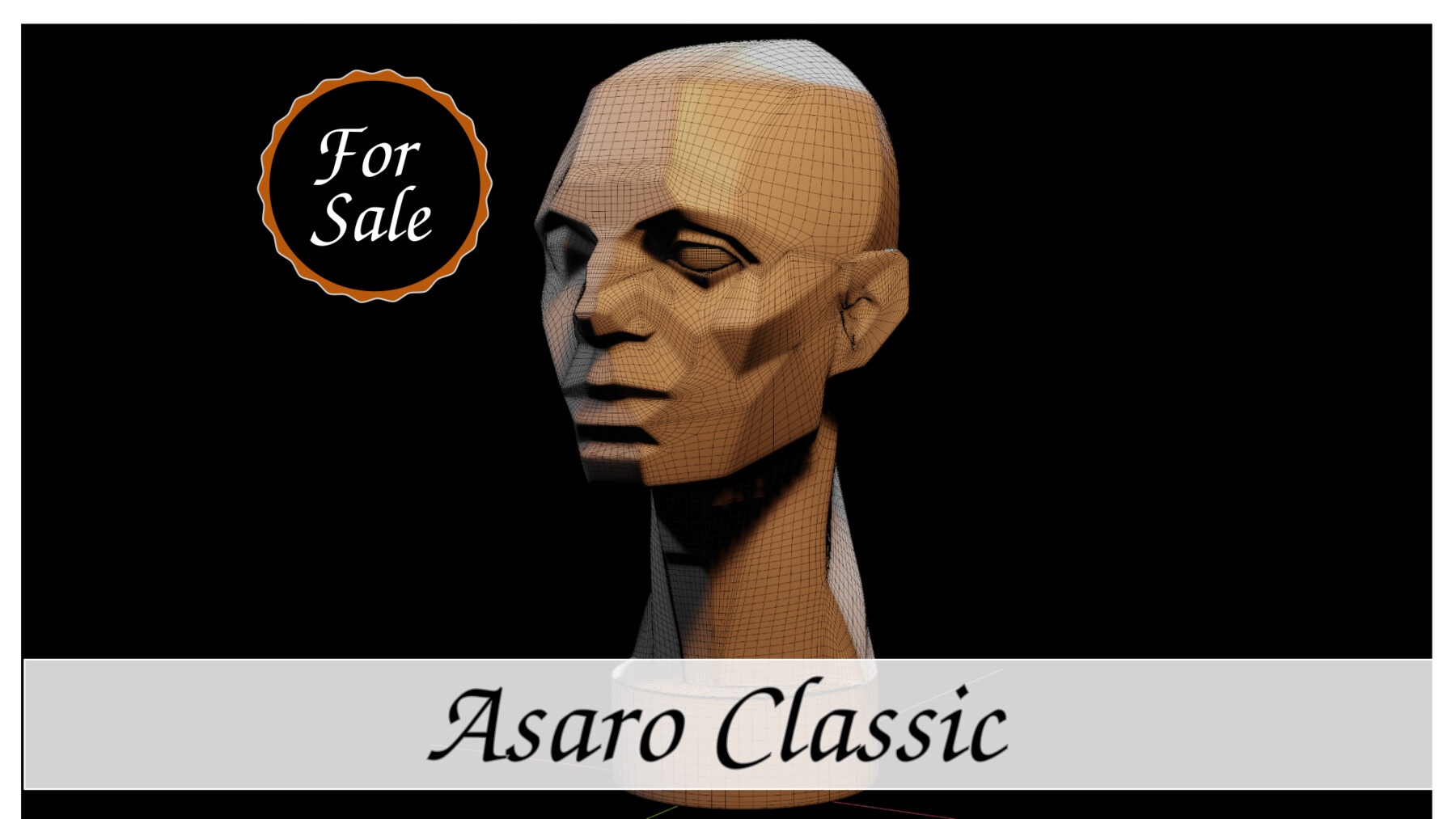 ArtStation - Asaro Heads Pack - Planes of the head 3D model | Resources