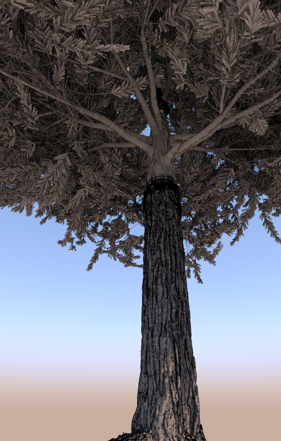ArtStation - 3D tree pinus pinea stone pine mature c | Resources