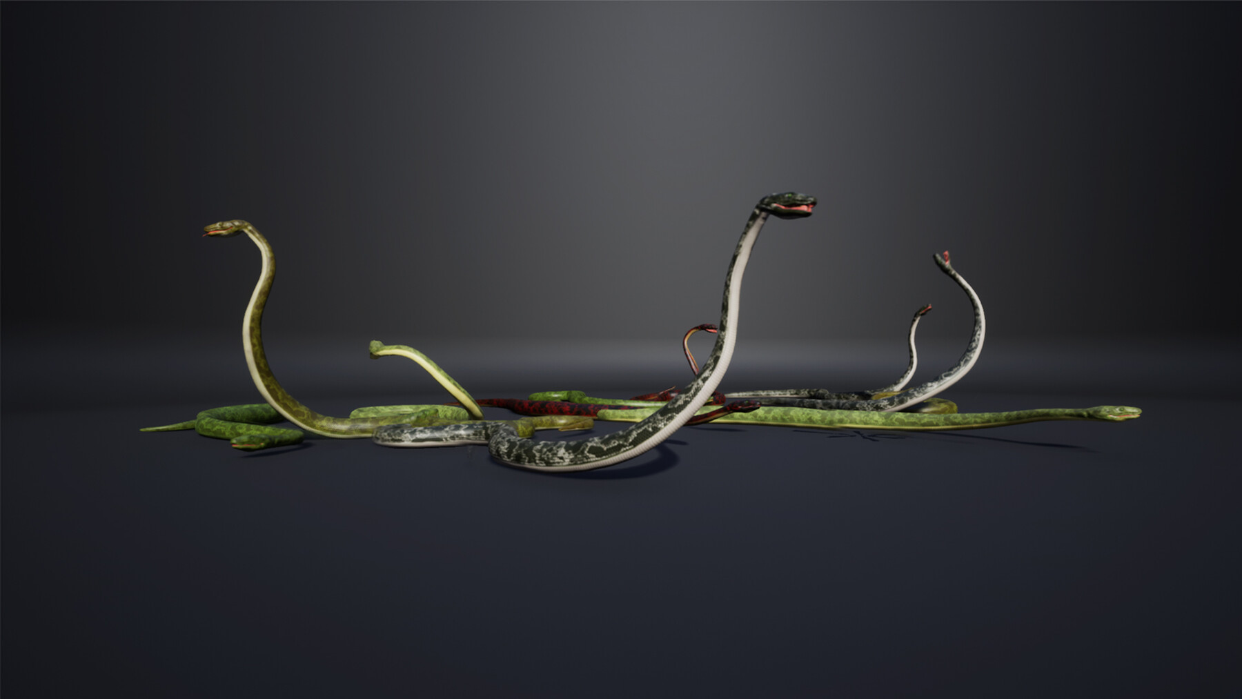 ArtStation - Snakes (Boa) - Game Ready | Game Assets