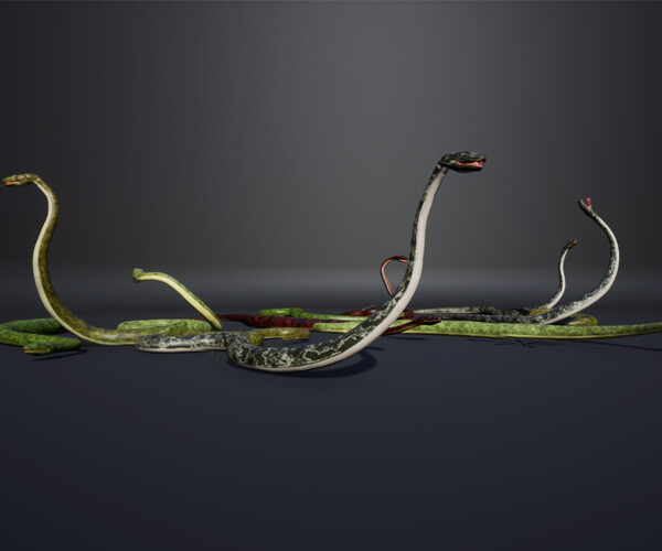 ArtStation - Snakes (Boa) - Game Ready | Game Assets