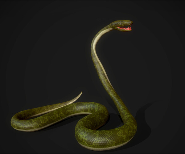 ArtStation - Snakes (Boa) - Game Ready | Game Assets