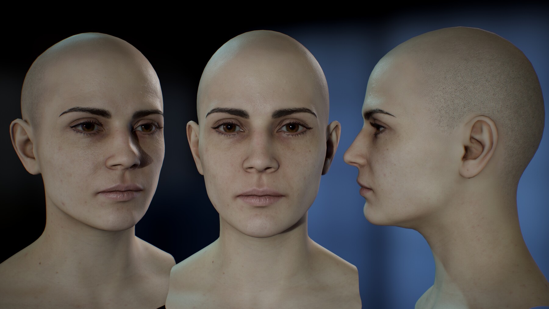 ArtStation - Highly detailed female head base mesh and écorché | Resources