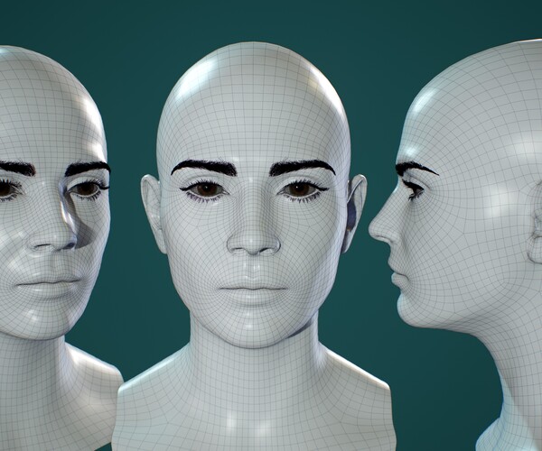 ArtStation - Highly detailed female head base mesh and écorché | Resources