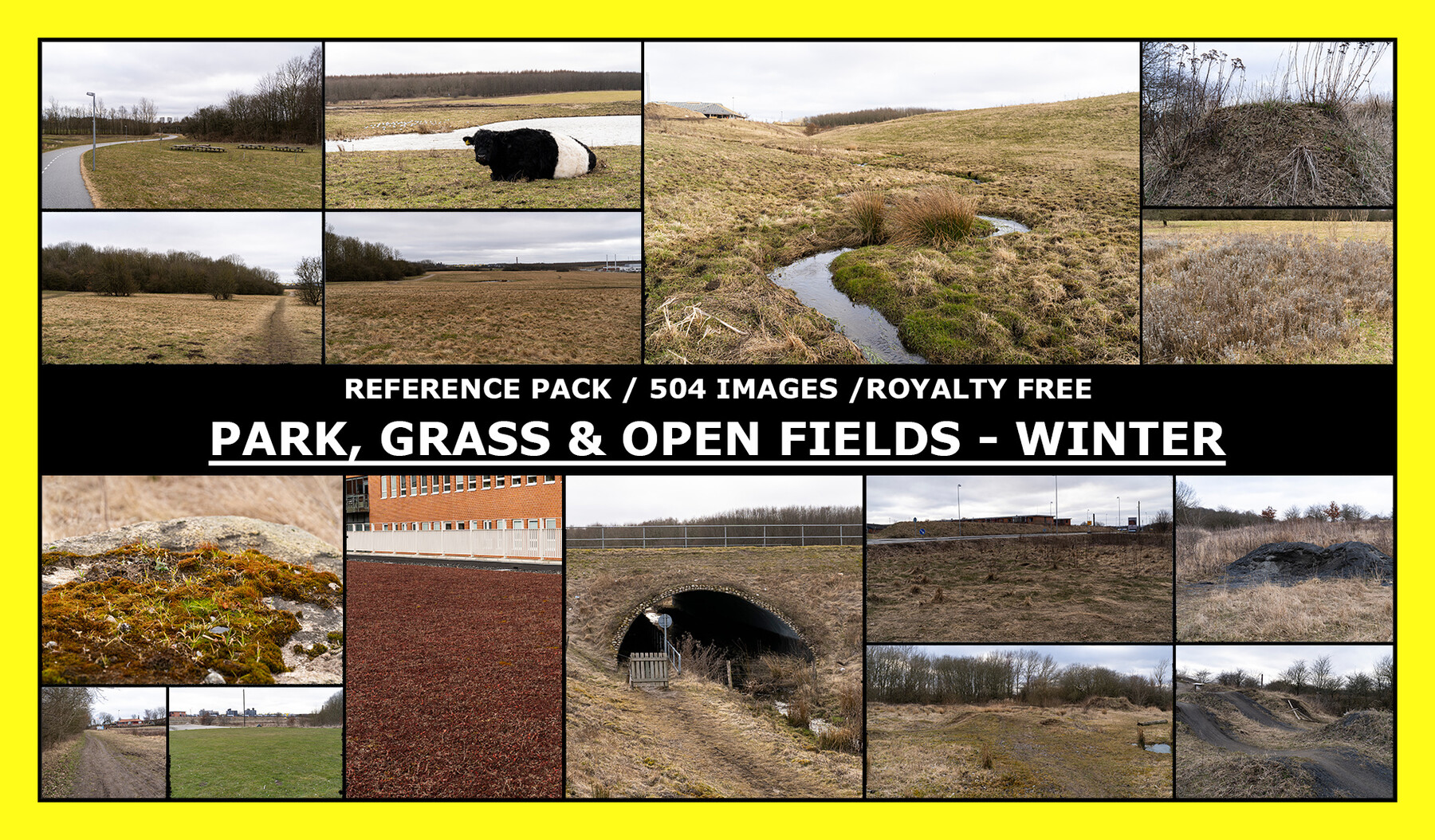 ArtStation - PARK GRASS & FIELDS / Photo Reference / 500+ images ...