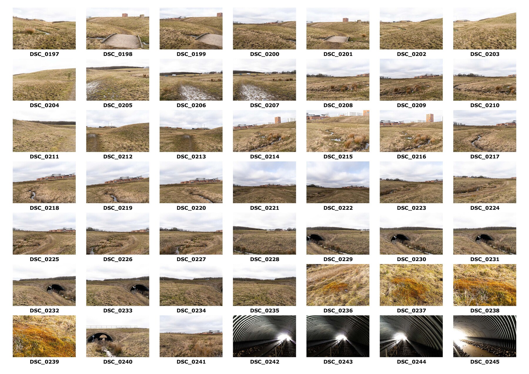 ArtStation - PARK GRASS & FIELDS / Photo Reference / 500+ images ...