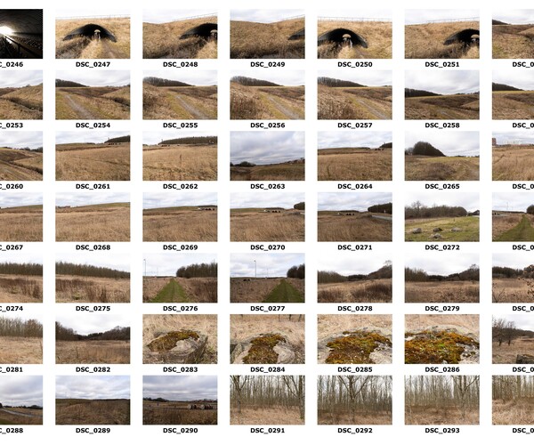 ArtStation - PARK GRASS & FIELDS / Photo Reference / 500+ images ...