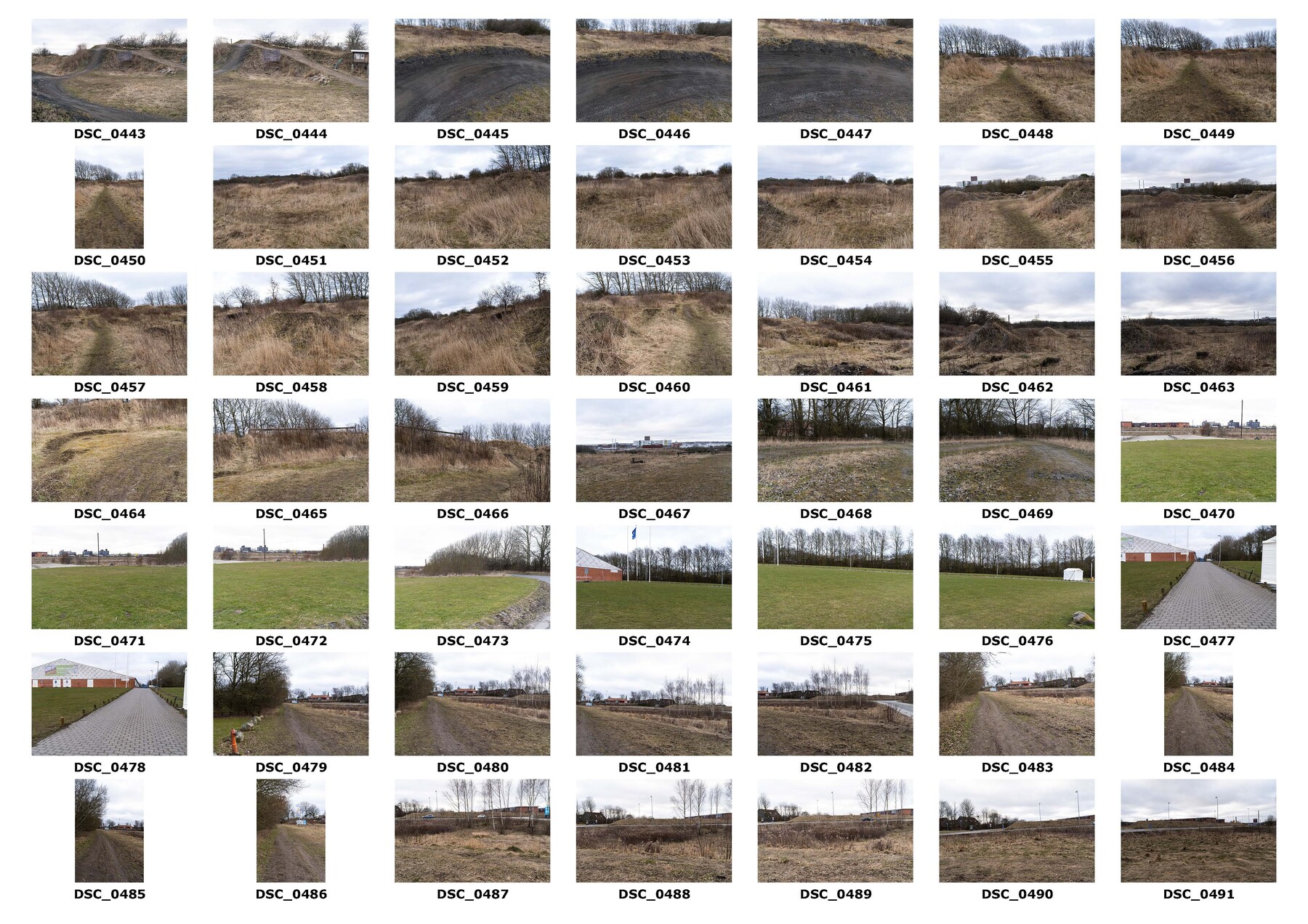 ArtStation - PARK GRASS & FIELDS / Photo Reference / 500+ images ...