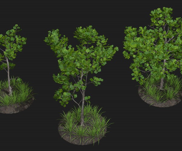 ArtStation - Three trees | Resources
