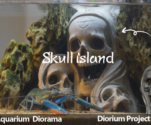 ArtStation - 3D Aquarium Skull decoration 3D print model | Resources