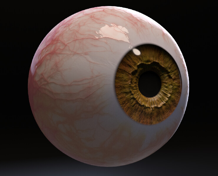 ArtStation - Photorealistic Eye with Pupil Dilation and Constriction 2. ...