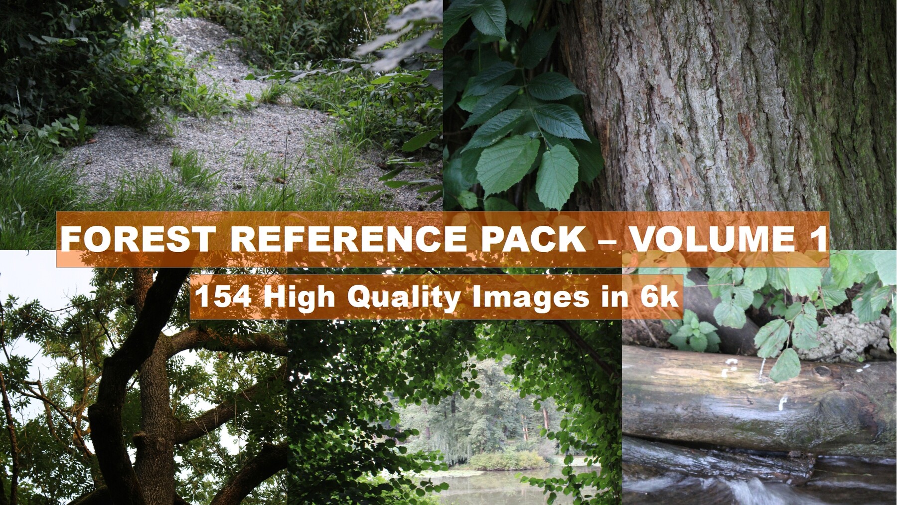 ArtStation - Forest Reference Pack Vol. 1 | Resources