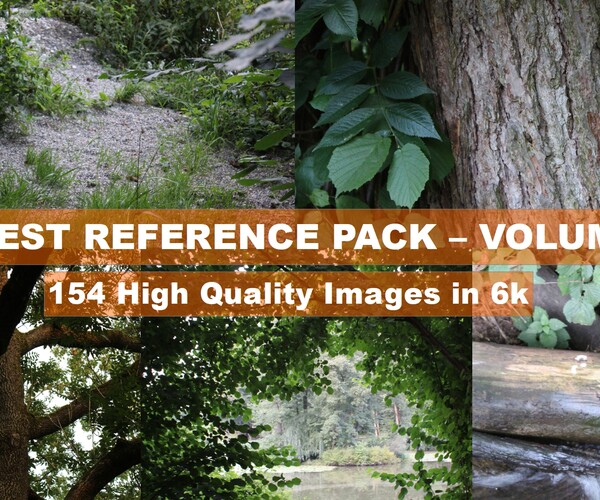 ArtStation - Forest Reference Pack Vol. 1 | Resources