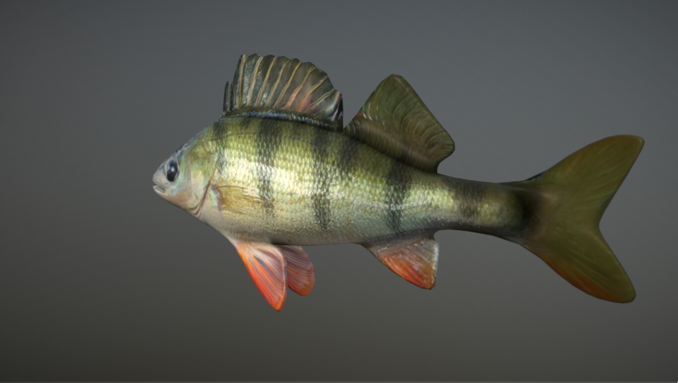 ArtStation - Bass - Fish | Game Assets
