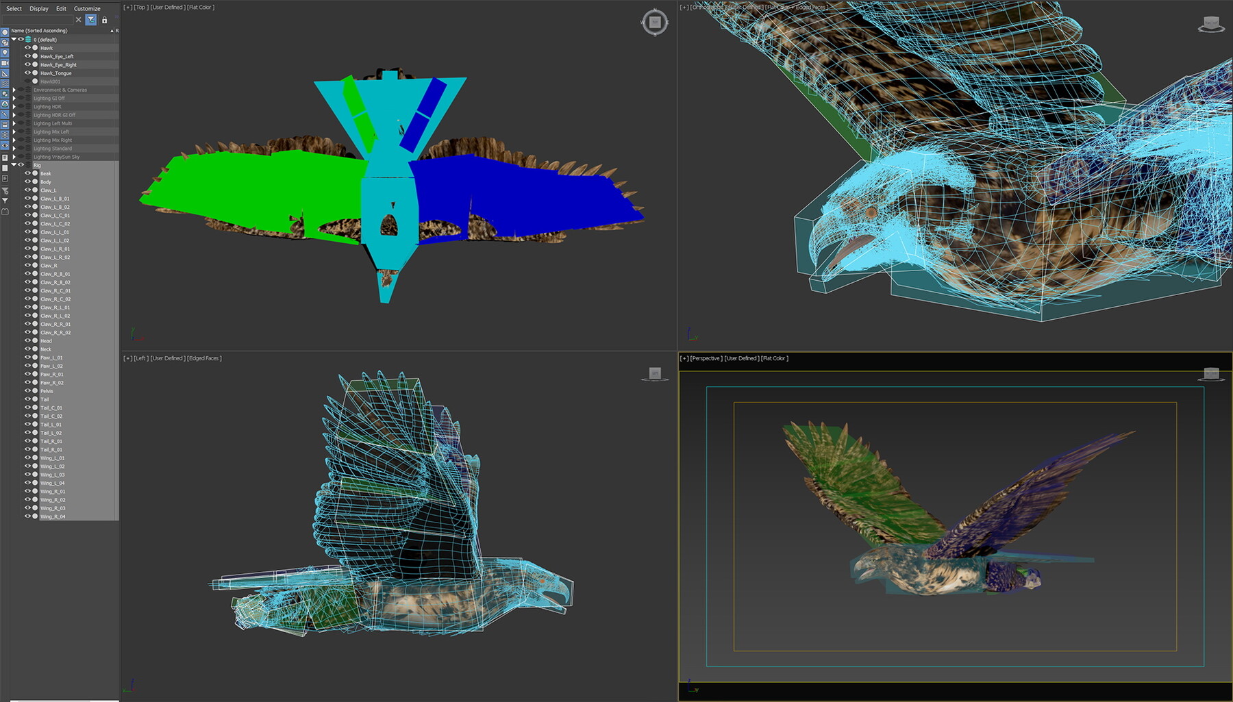 ArtStation - Animated Hawk | Resources