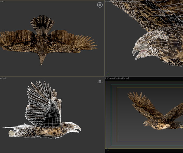 ArtStation - Animated Hawk | Resources