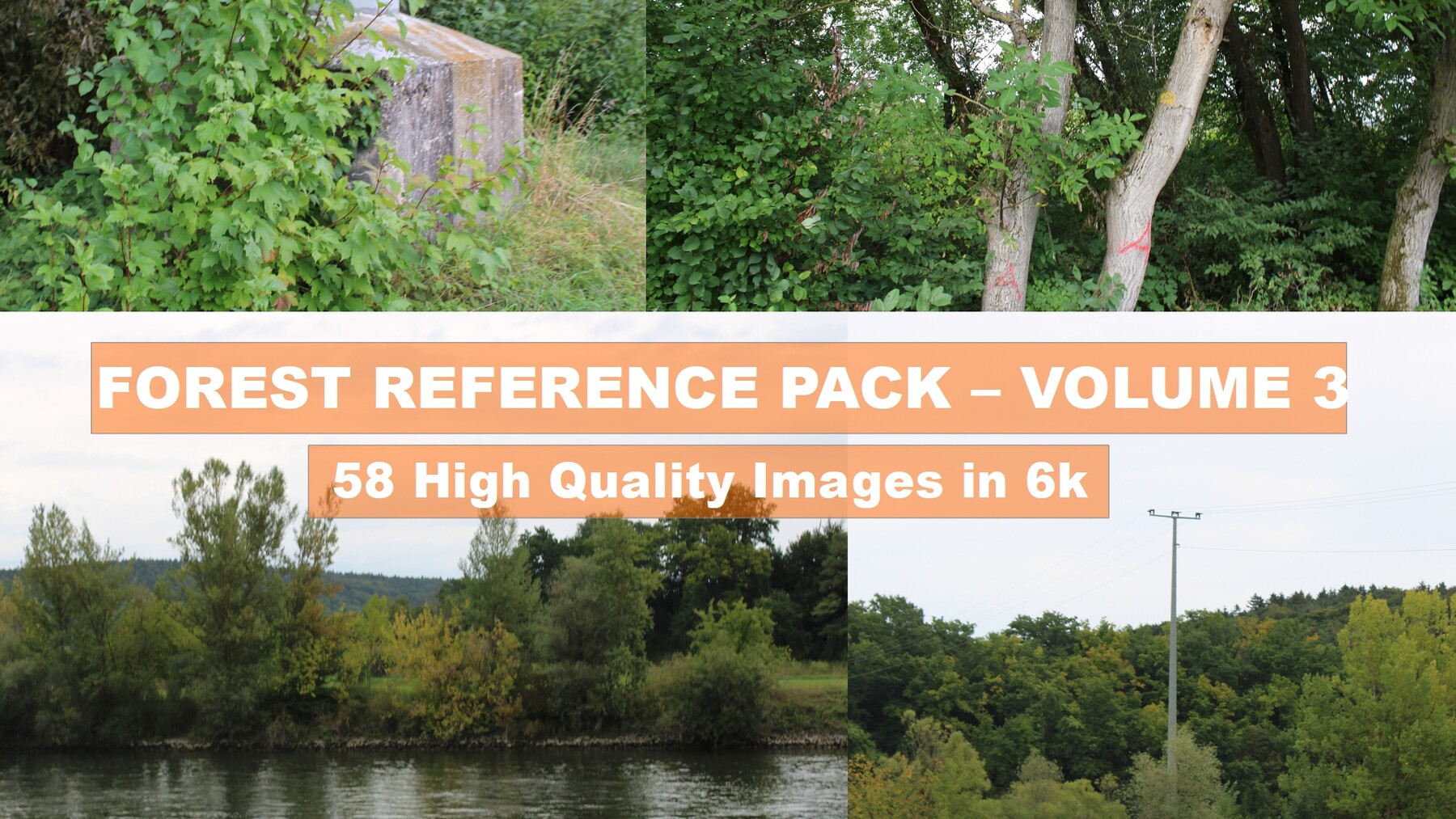 ArtStation - Forest Reference Pack Vol. 3 | Resources