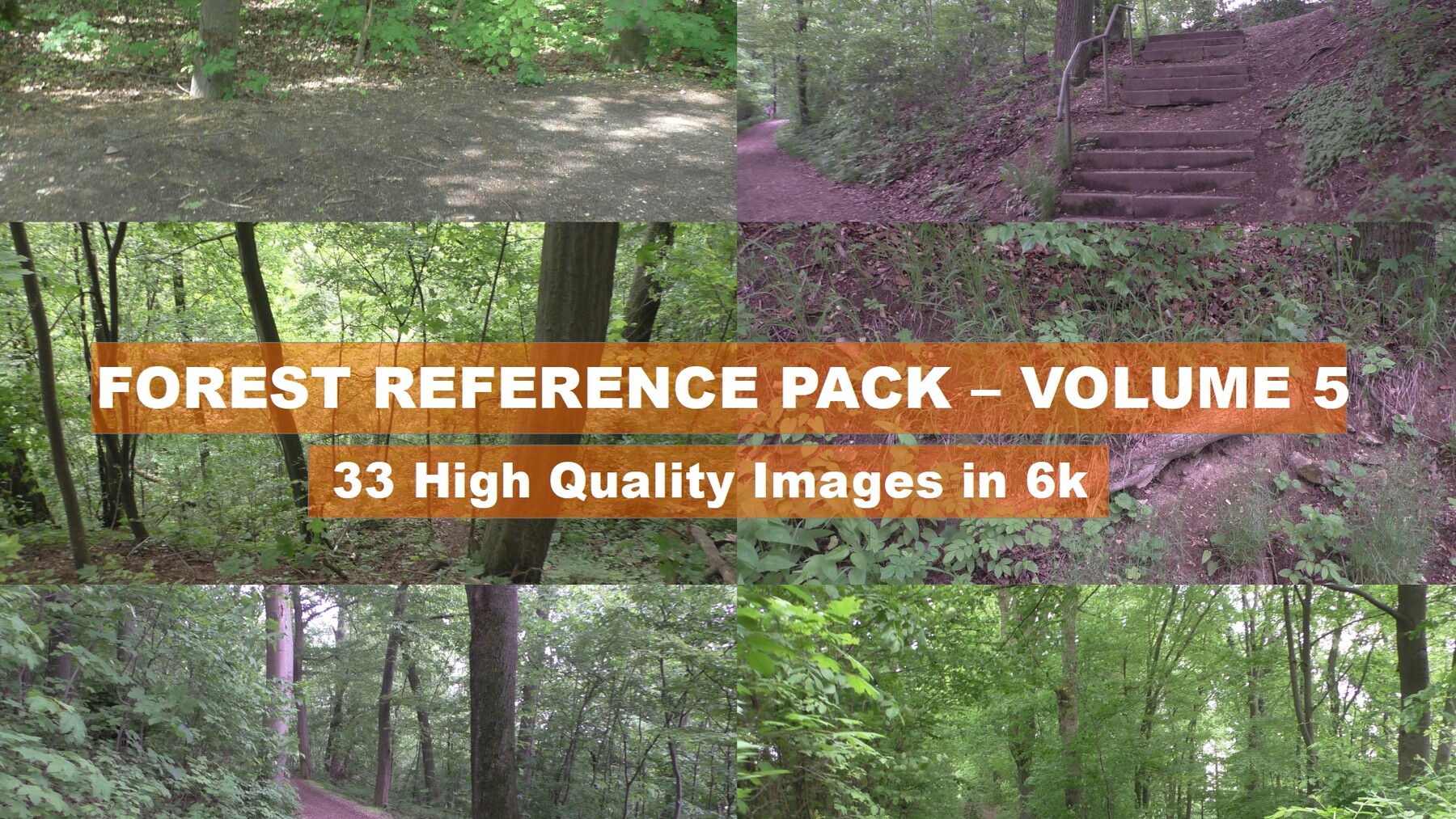 ArtStation - Forest Reference Pack Vol. 5 | Resources