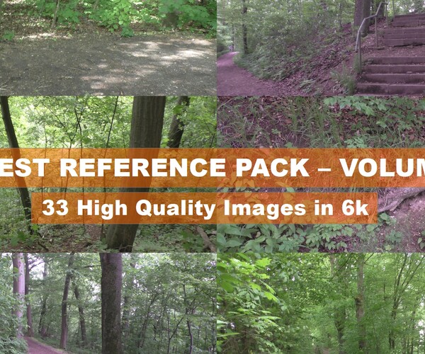 ArtStation - Forest Reference Pack Vol. 5 | Resources