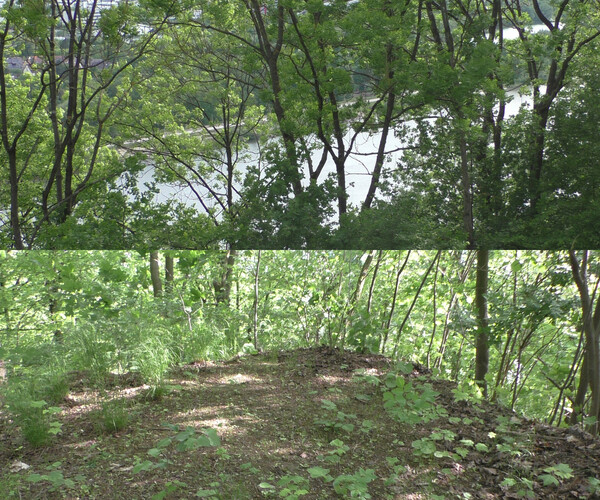 ArtStation - Forest Reference Pack Vol. 5 | Resources