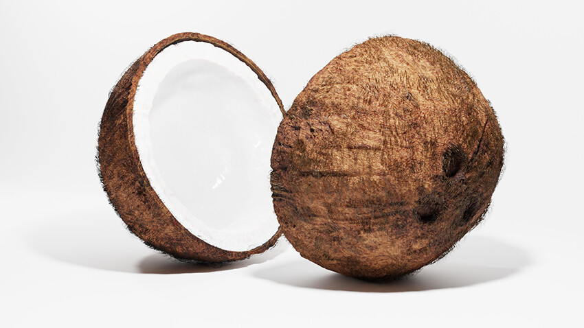 ArtStation - Coconut | Resources