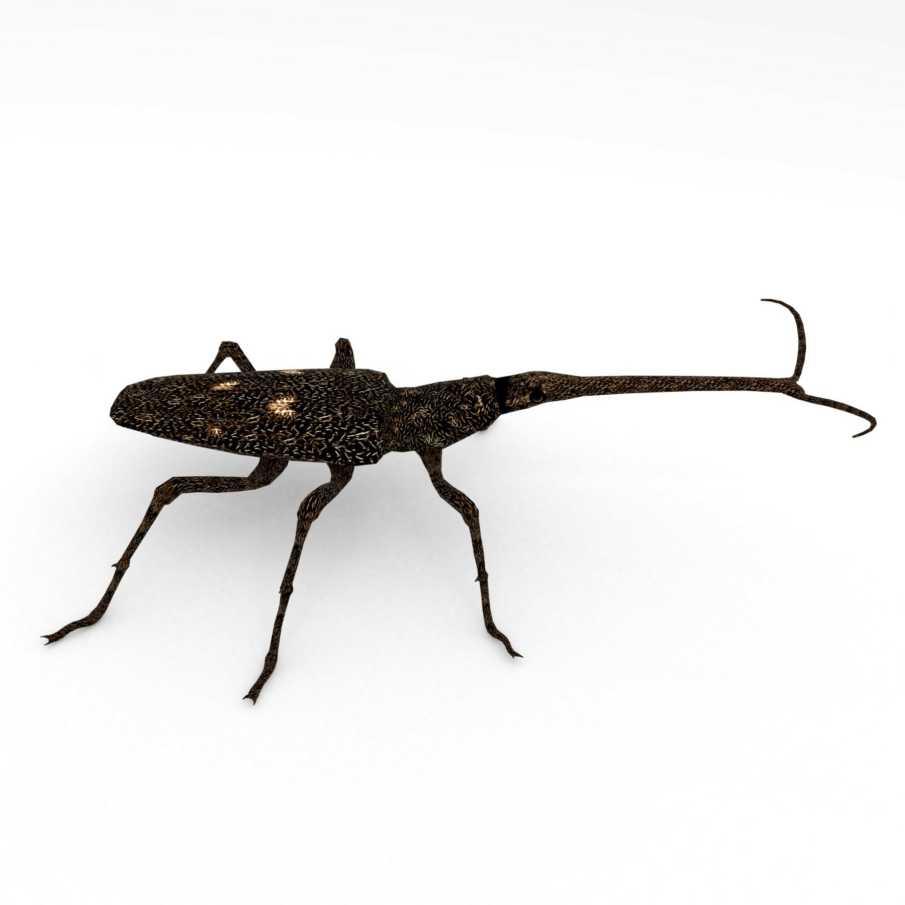 ArtStation - New Zealand giraffe weevil | Resources