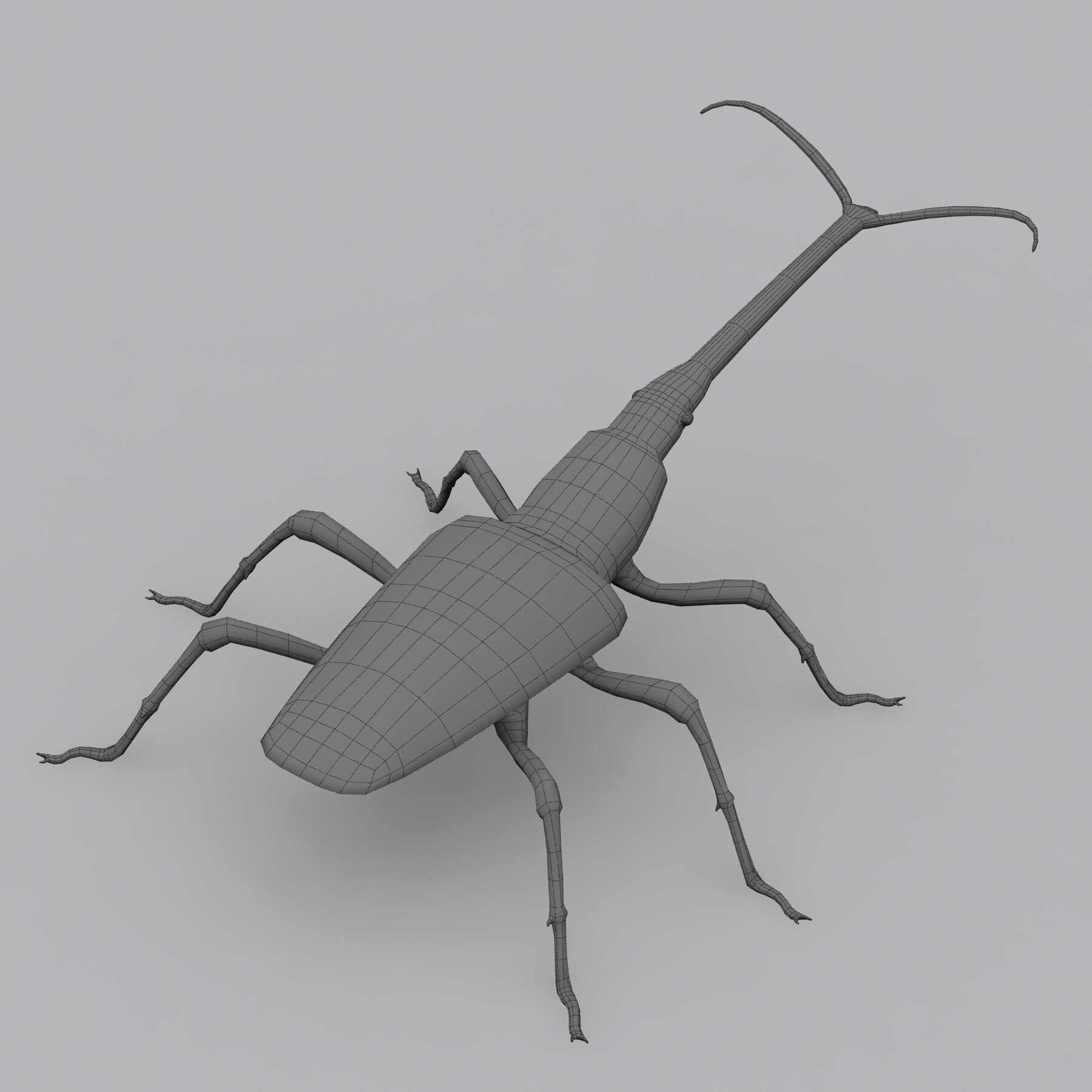 ArtStation - New Zealand giraffe weevil | Resources