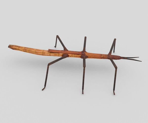 ArtStation - Stick Insect | Resources