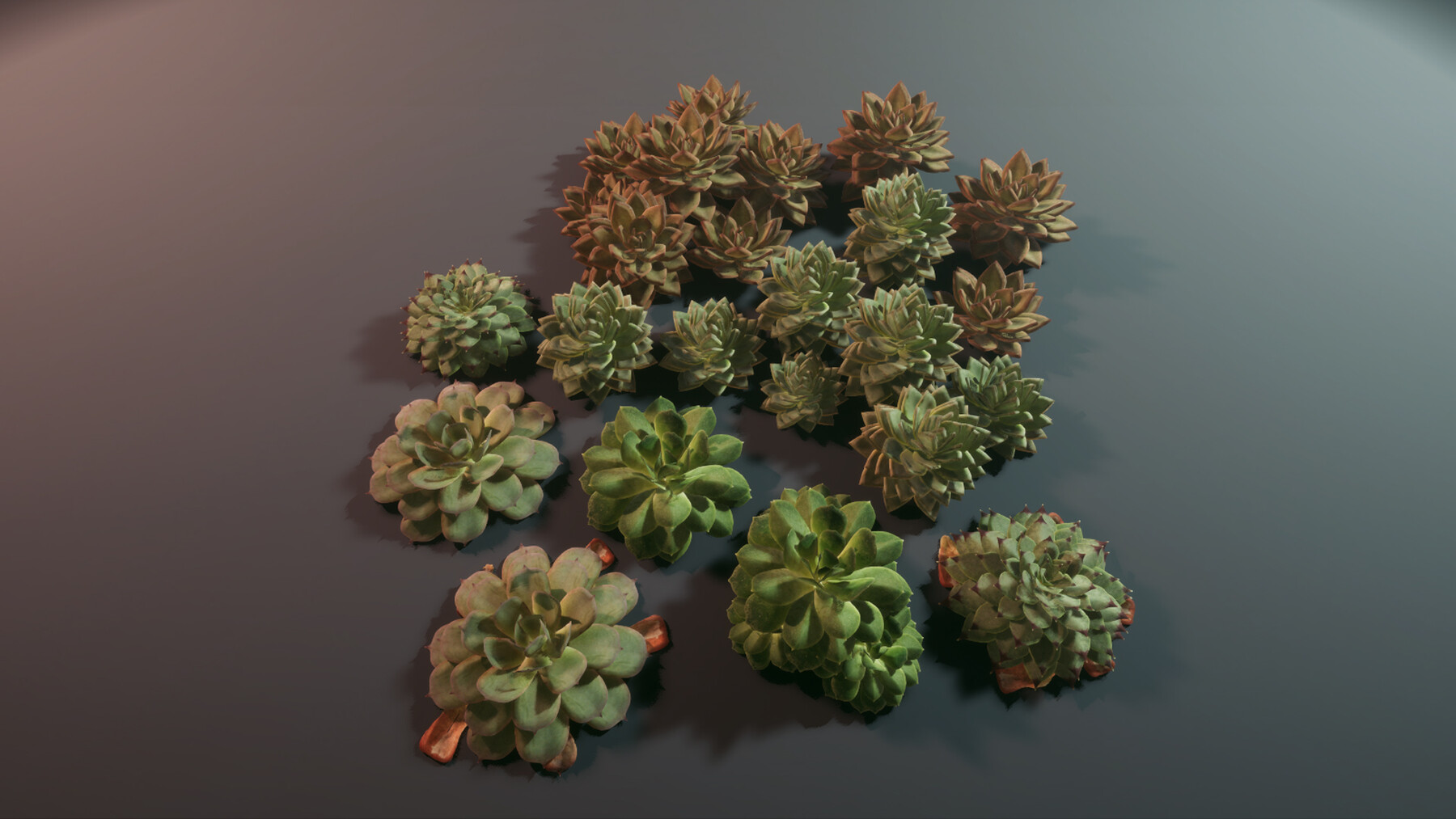 ArtStation - Succulents Package | Game Assets