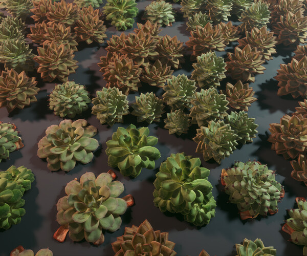 ArtStation - Succulents Package | Game Assets