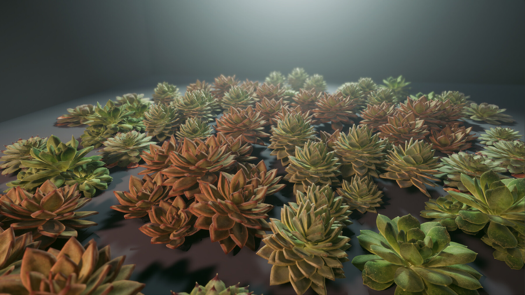 ArtStation - Succulents Package | Game Assets