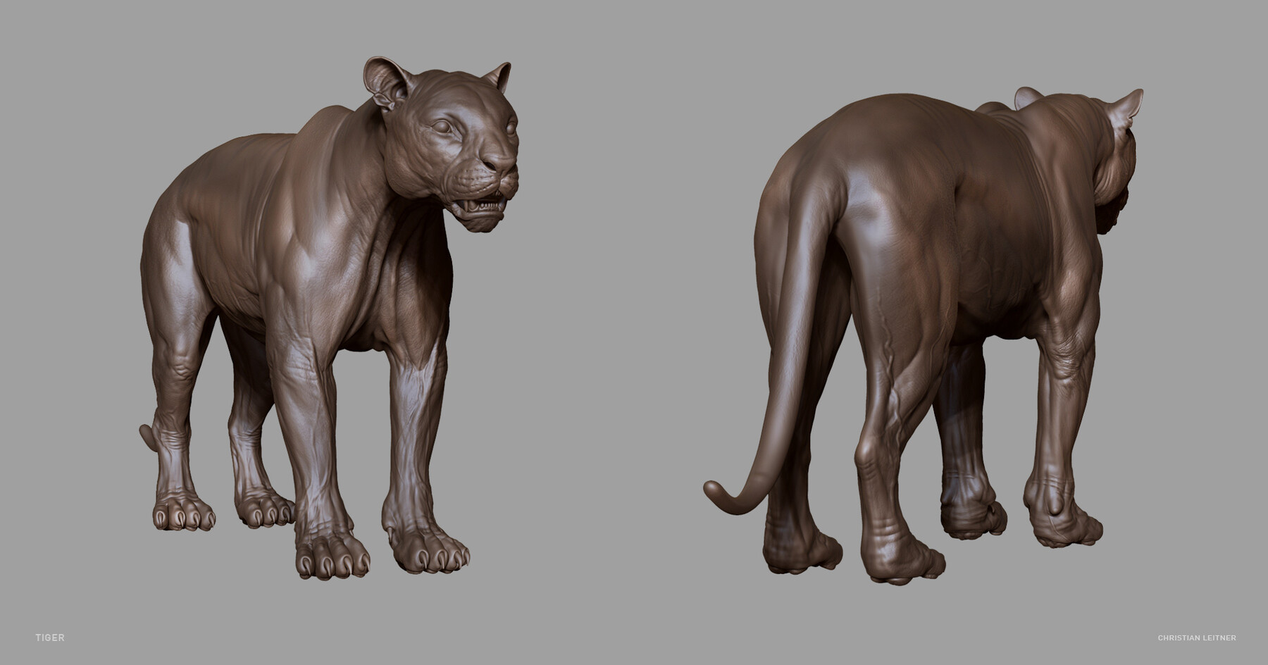 ArtStation - Tiger | Resources