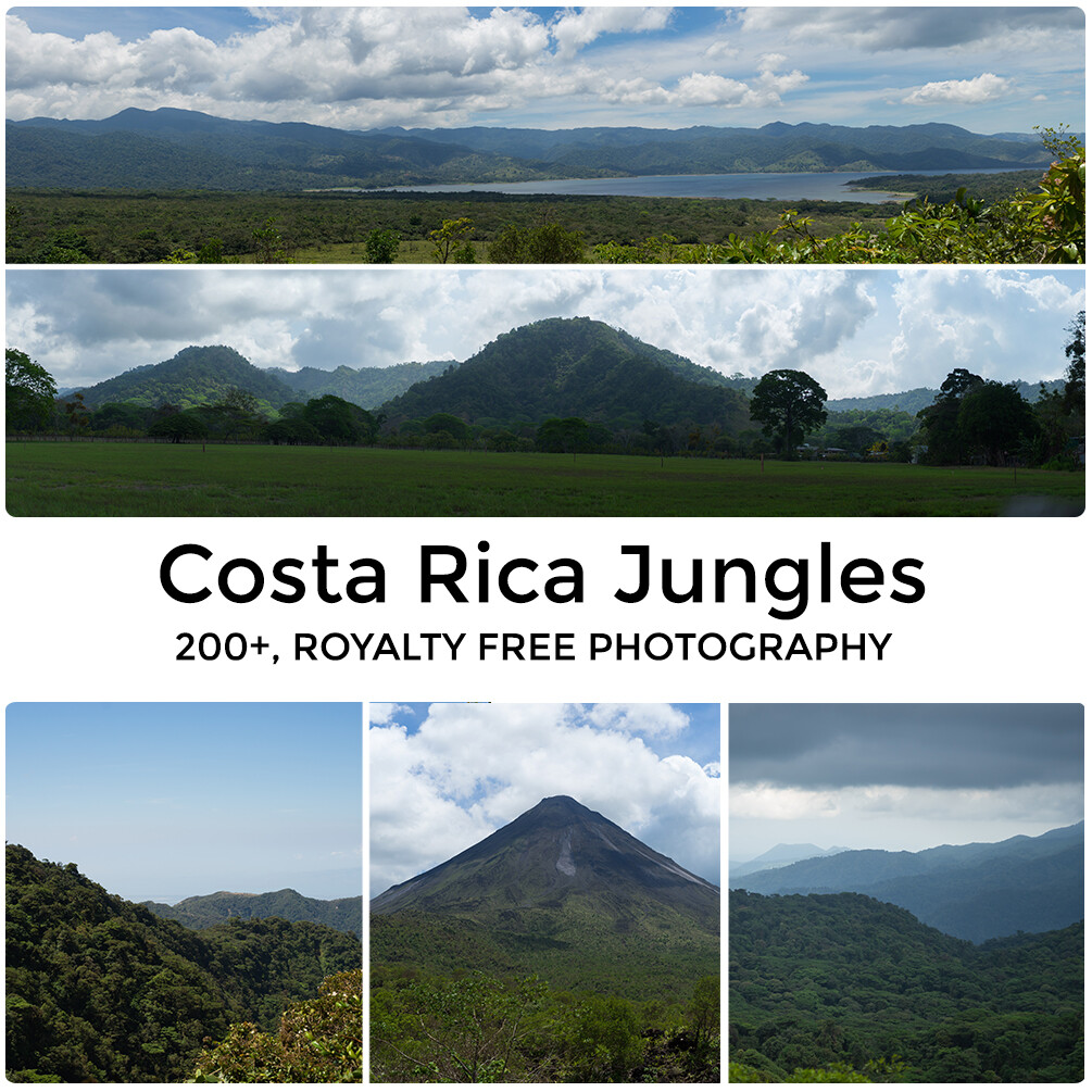 ArtStation - Costa Rica Jungles , reference photo PACK | Resources