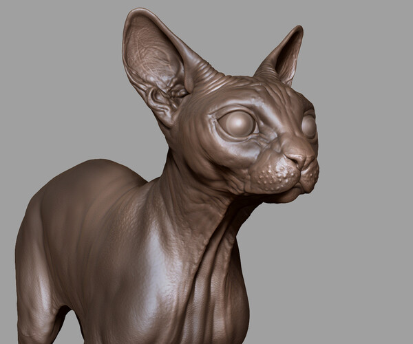 ArtStation - CAT - sculpt/retopology/uvs | Resources