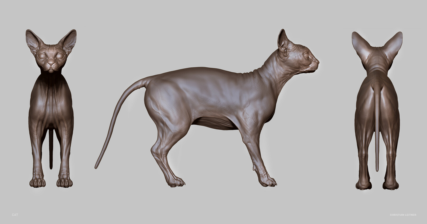 ArtStation - CAT - sculpt/retopology/uvs | Resources