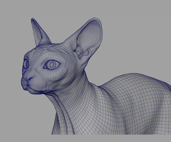 ArtStation - CAT - sculpt/retopology/uvs | Resources