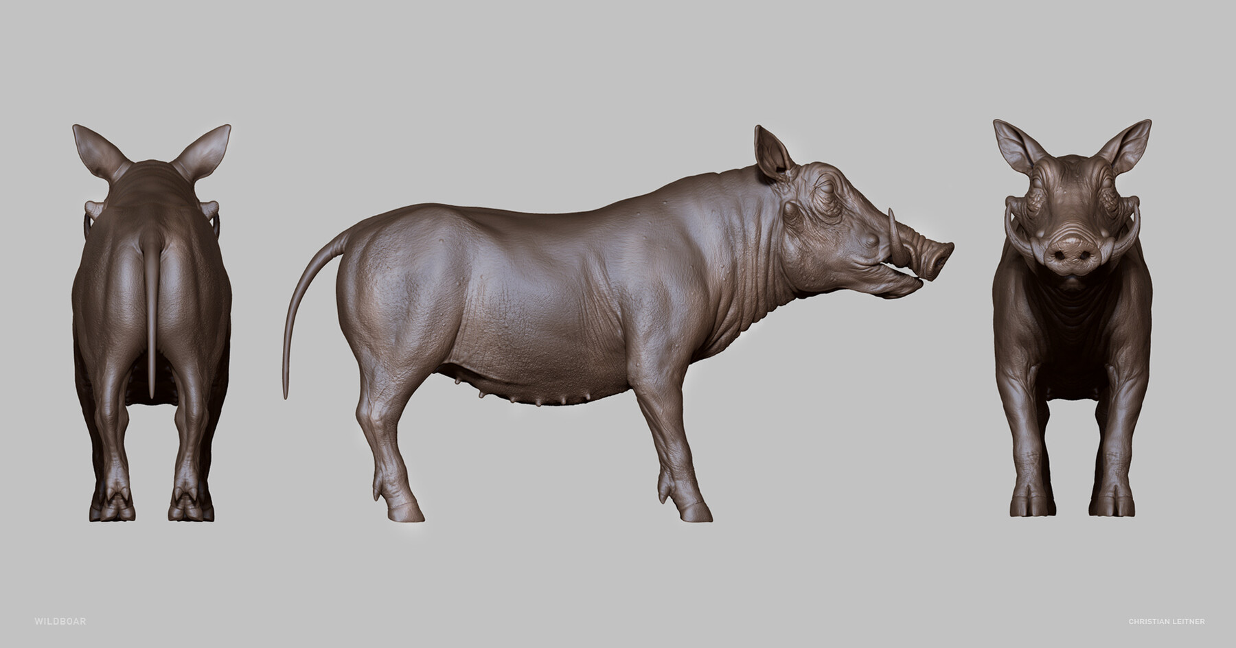 ArtStation - WILD BOAR / PIG - sculpt/retopology/uvs | Resources