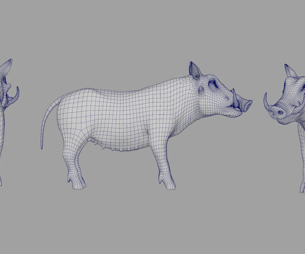 ArtStation - WILD BOAR / PIG - sculpt/retopology/uvs | Resources