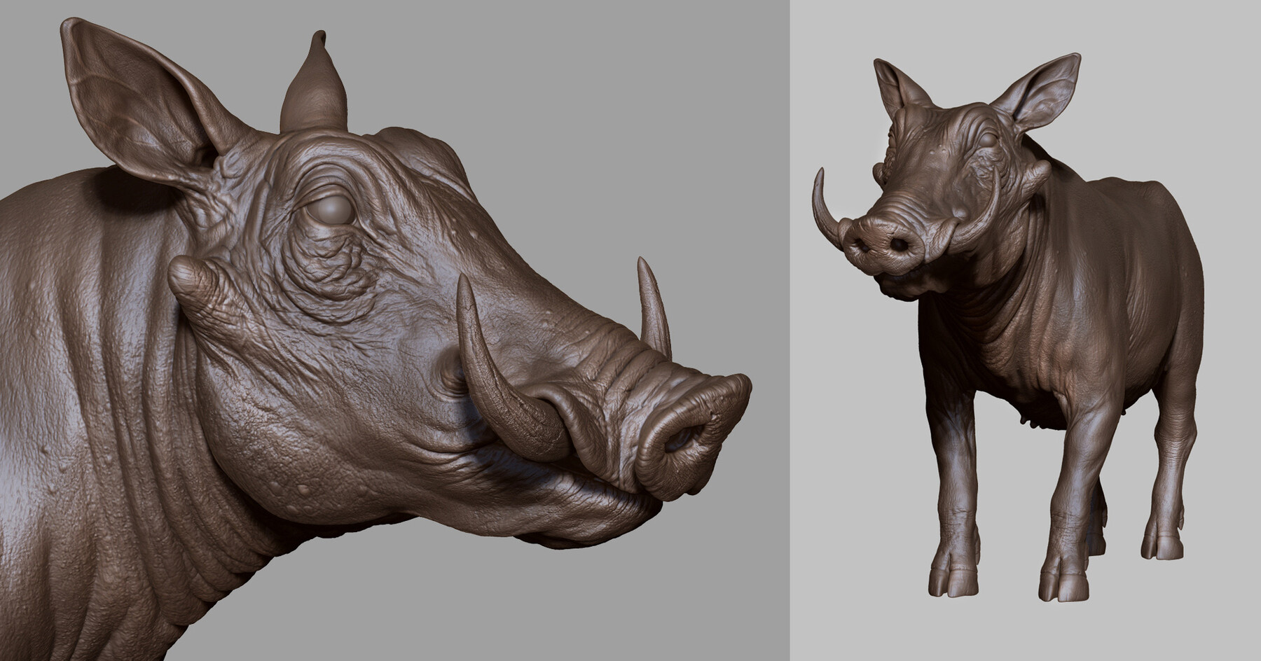 ArtStation - WILD BOAR / PIG - sculpt/retopology/uvs | Resources