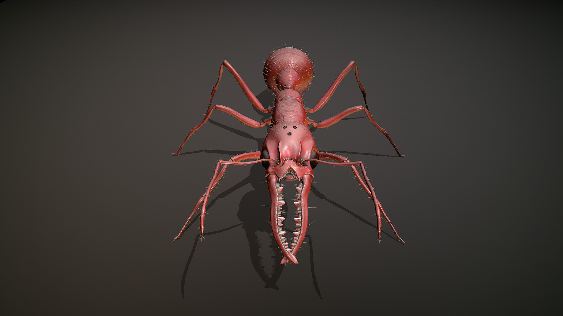 ArtStation - Ant Bulldog | Game Assets