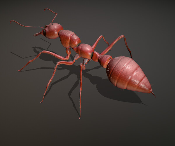 ArtStation - Ant Bulldog | Game Assets