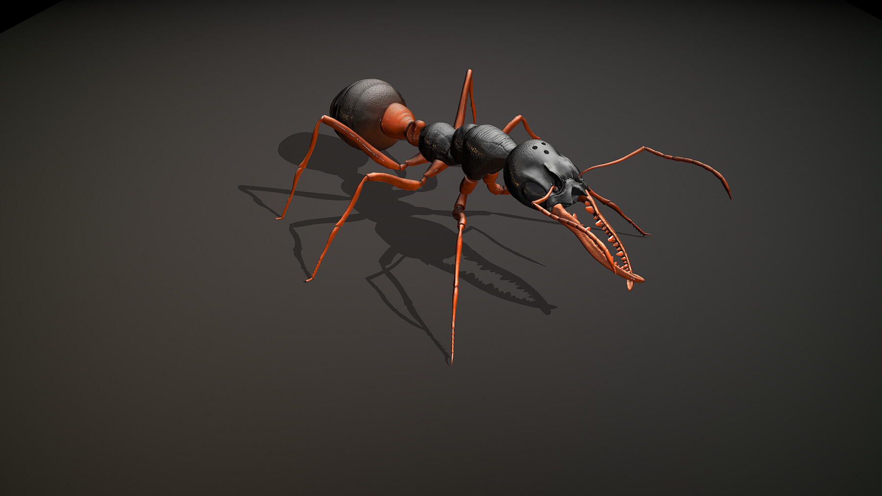ArtStation - Ant Bulldog | Game Assets