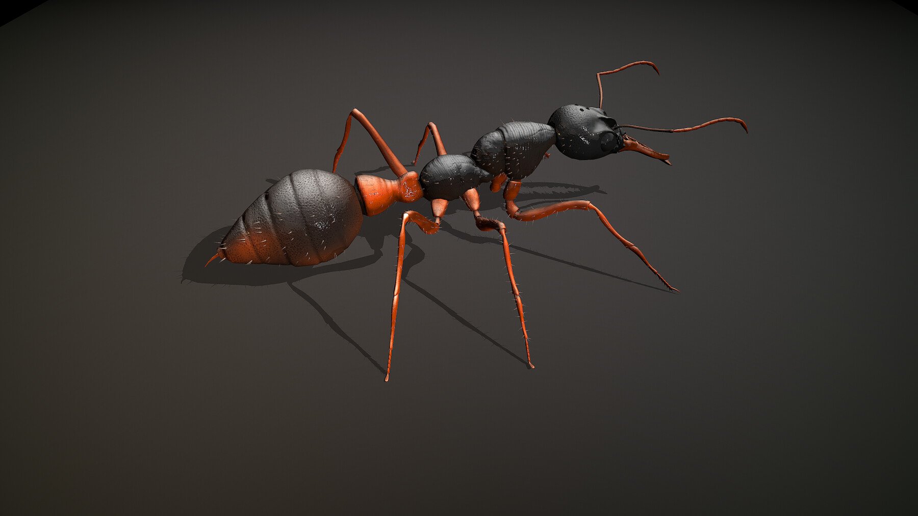 ArtStation - Ant Bulldog | Game Assets