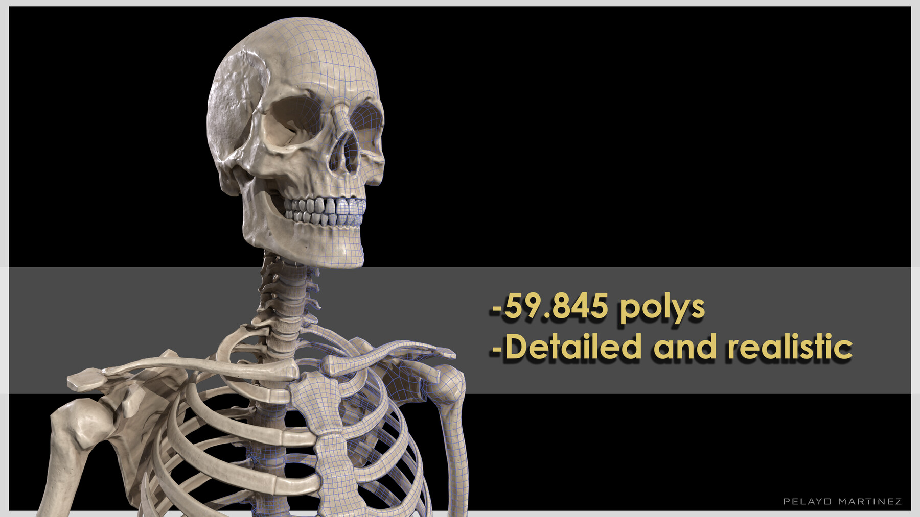 ArtStation - Anatomical High Quality low poly Human Skeleton | Game Assets