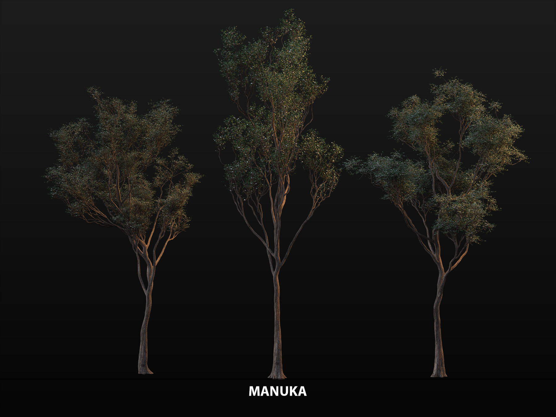 ArtStation - manuka tree asset pack | Resources