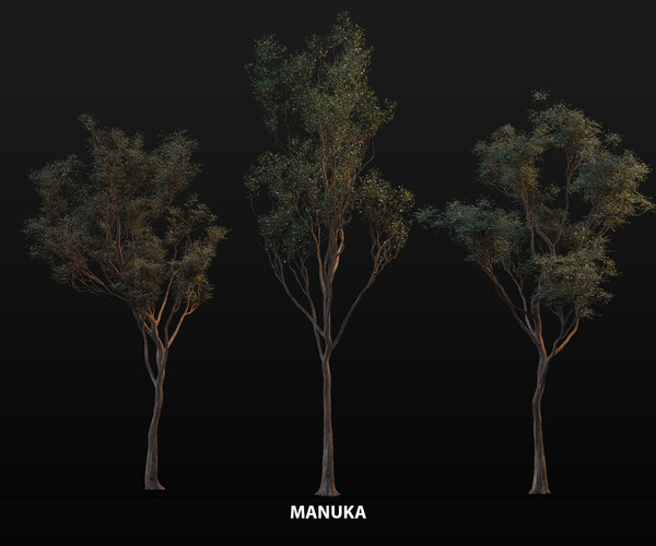 ArtStation - manuka tree asset pack | Resources