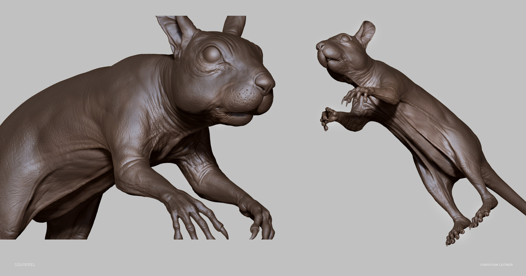 ArtStation - SQUIRREL - sculpt/retopology/uvs | Resources