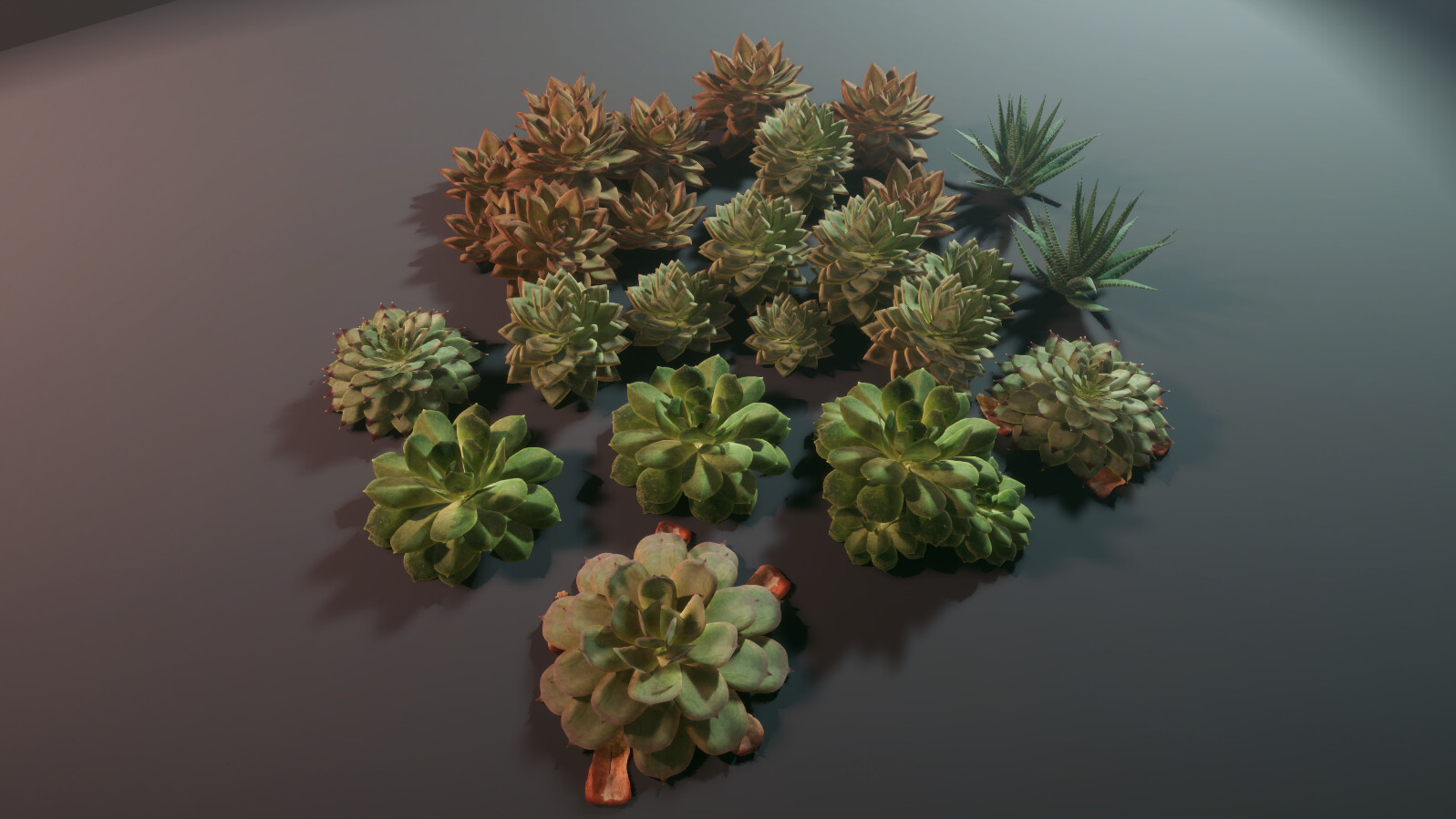 ArtStation - Succulents Package | Game Assets