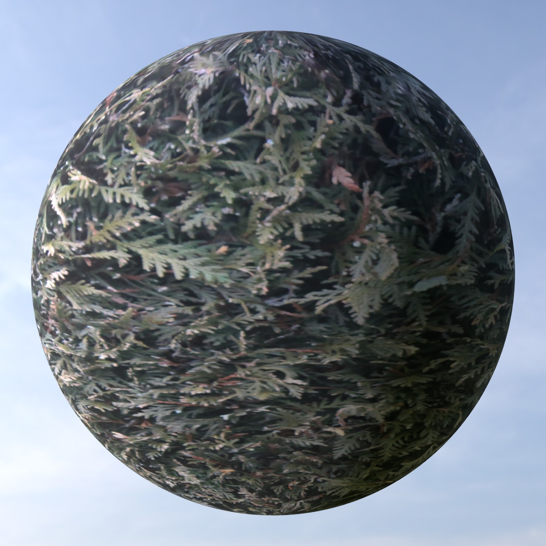 ArtStation - Hedge 1 PBR Material | Game Assets