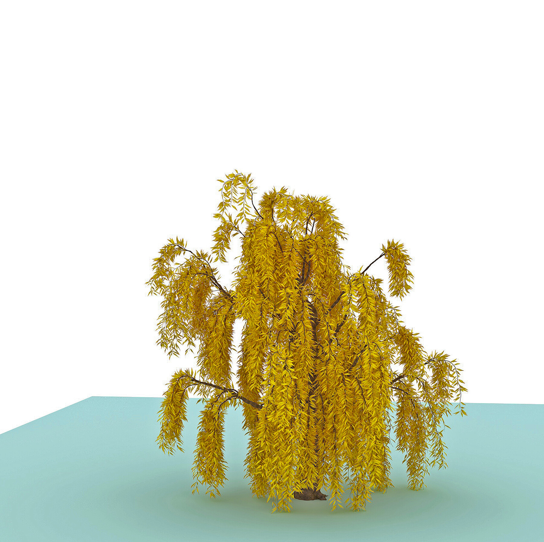 ArtStation - weeping willow | Resources