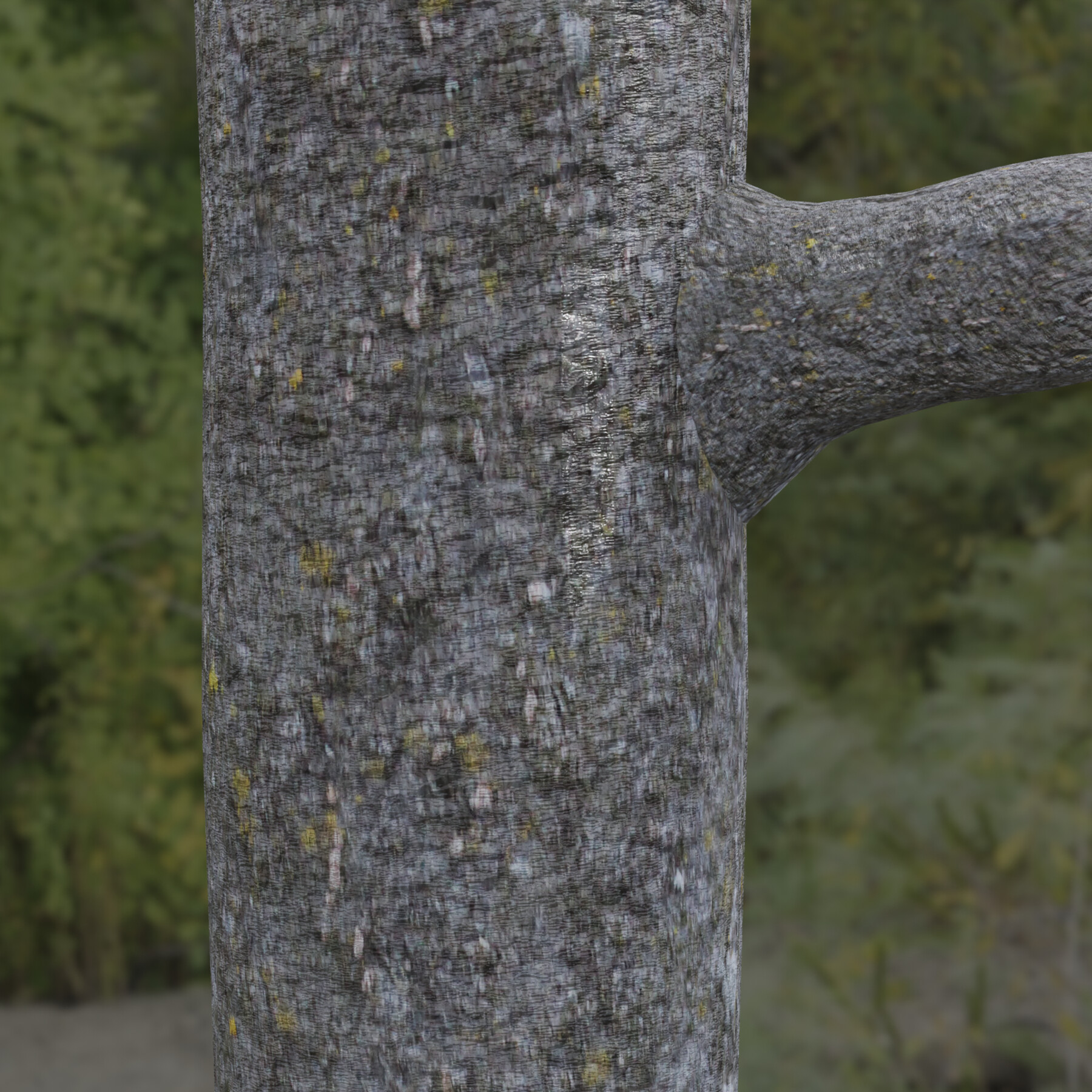 ArtStation - Tree Bark 11 PBR Material | Game Assets
